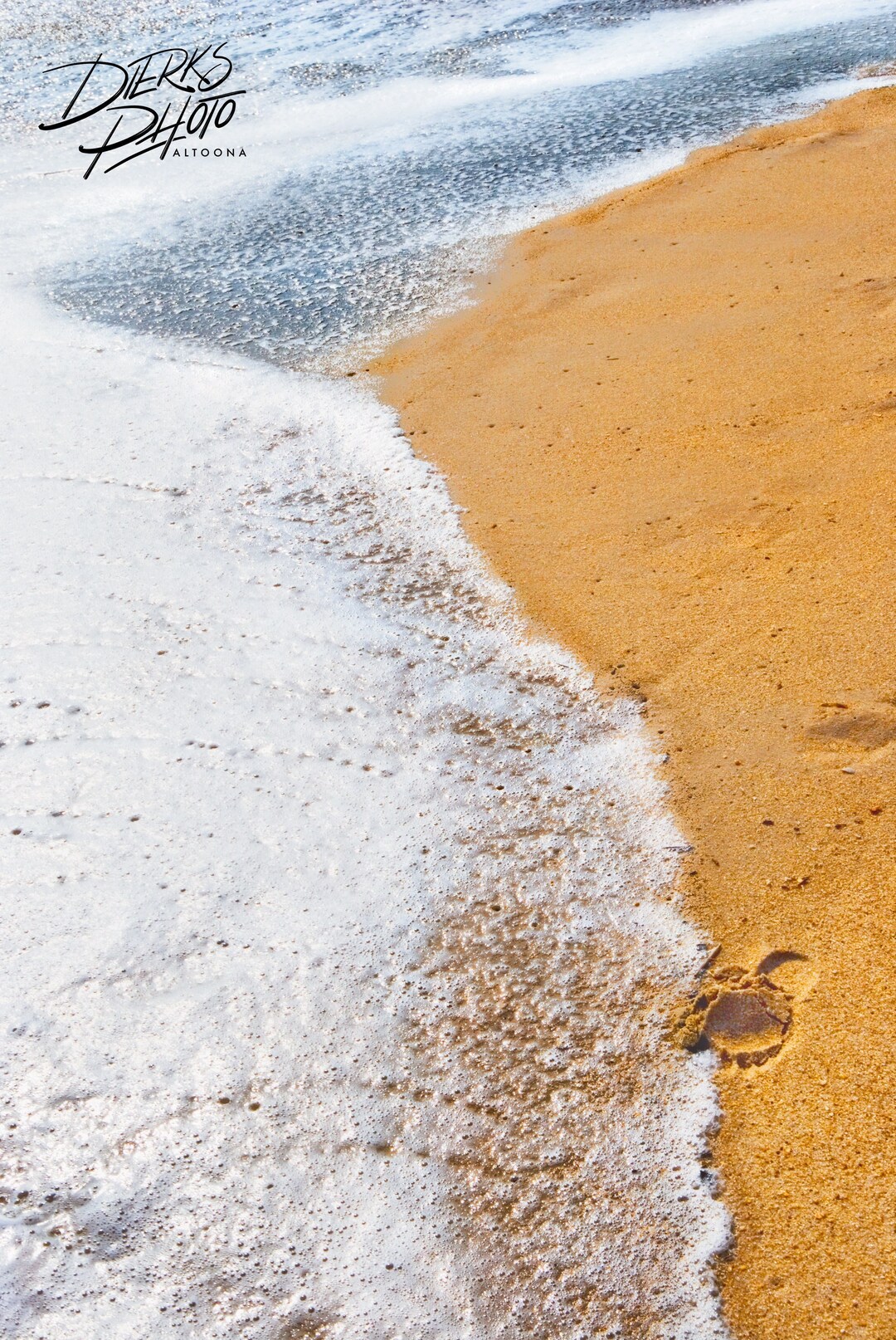 Footprint in Outer Banks Beach Sand Photo, Beach Life, Beach Wandering ...