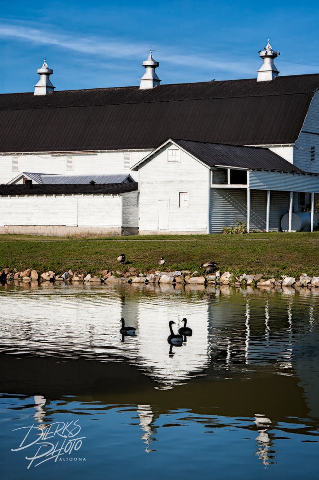 Old White Barn With Pond and Geese Photo, Peaceful Country Barn Print ...