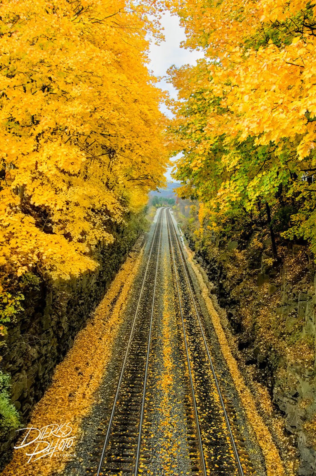 Yellow Fall Leaves and Railroad Train Track Perspective, Train Gift ...