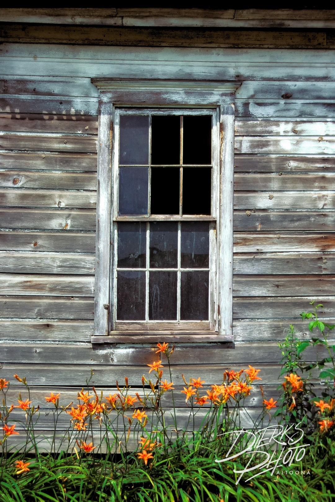 Abandoned One Room Schoolhouse Window Photo, Old Time Rustic ...