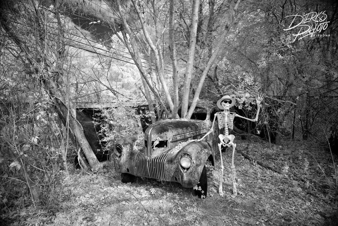 Halloween Skeleton Photo, Halloween Gift, Halloween Decor, Traveling ...