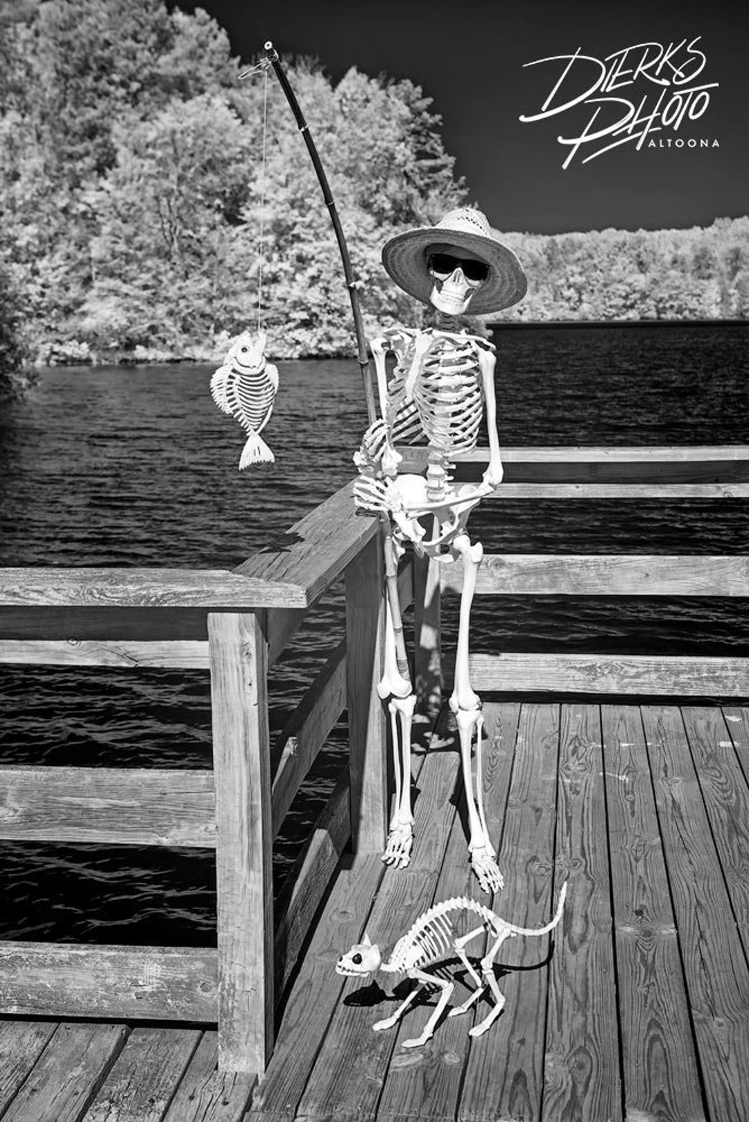 Skeleton Fishing Photo, Skeleton Fisherman, Halloween Skeleton Photo ...