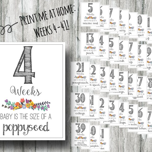 Weekly Pregnancy Sign - Etsy