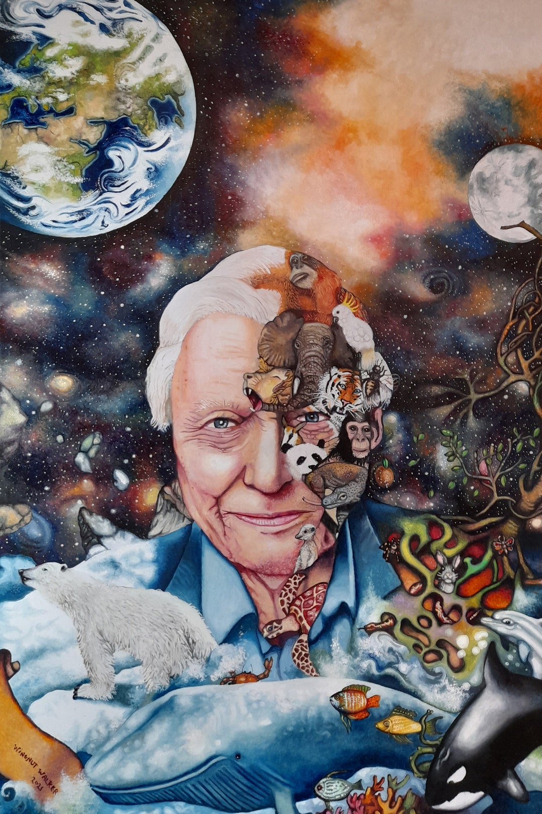David Attenborough Portrait A3 Size Limited Edition Print - Etsy UK