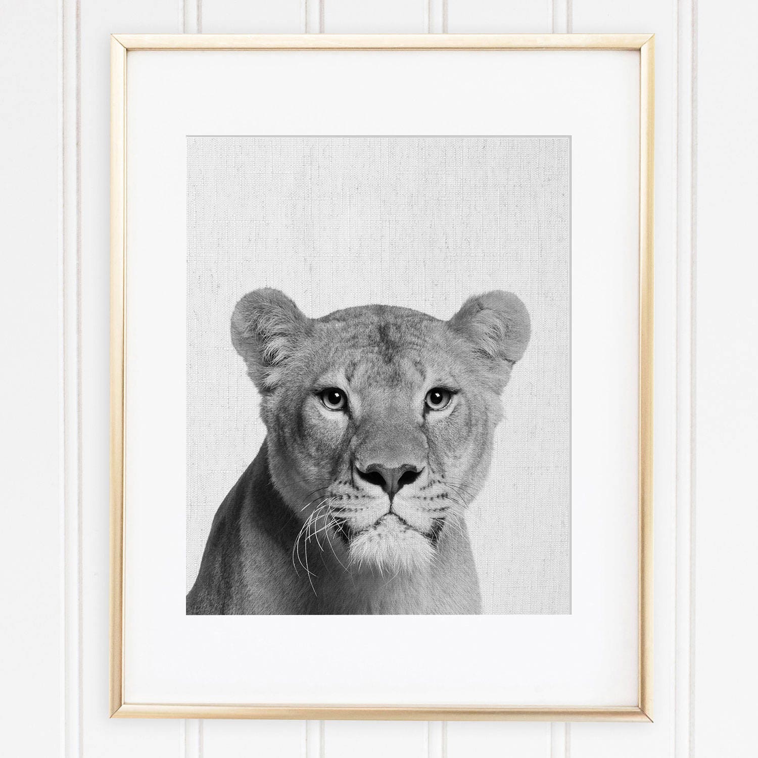 Lioness Print Safari Animal Art Lioness Art Black And | Etsy