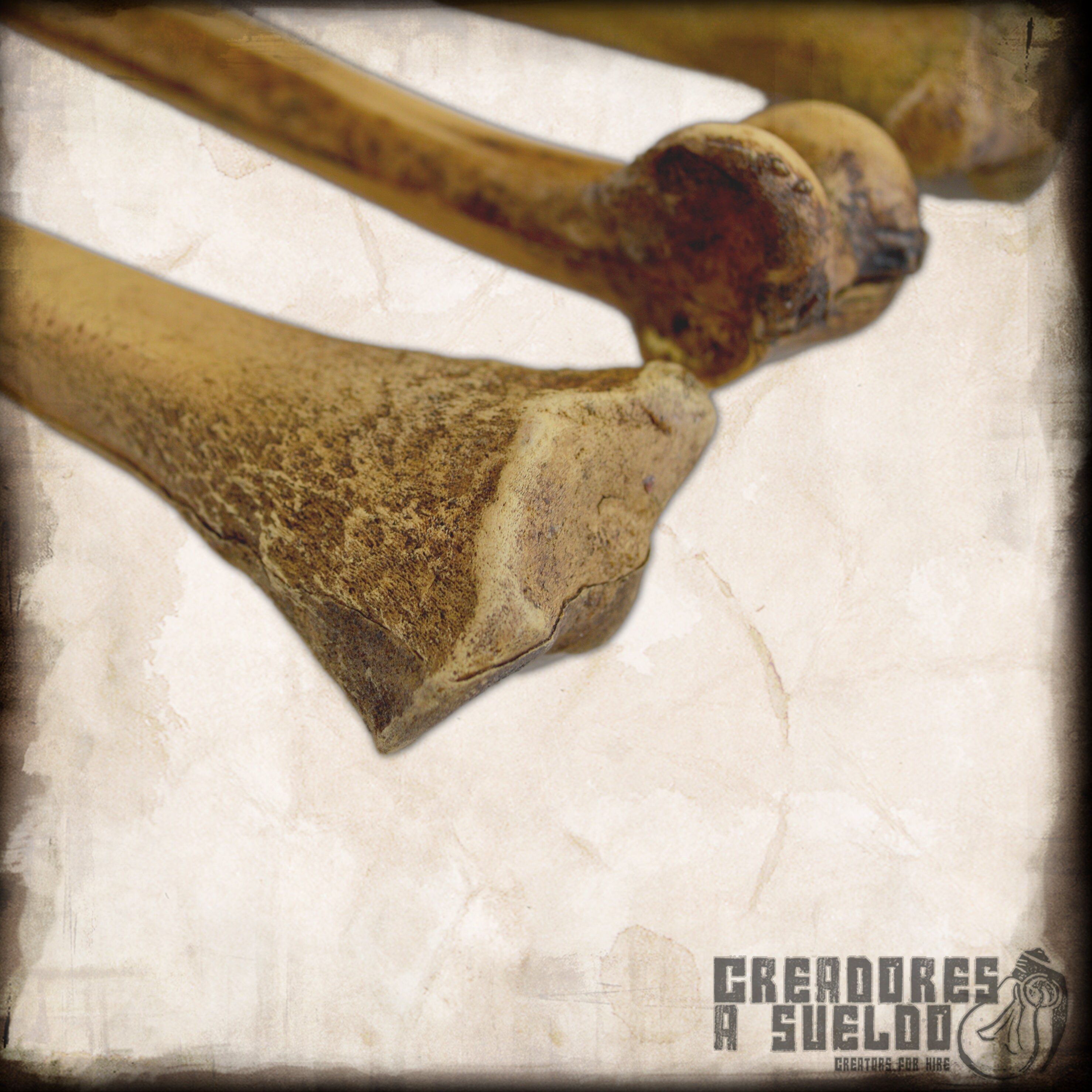 Soft Foam Bones (bundle Avaliable) Flexible Prop for Costuming Tribal ...