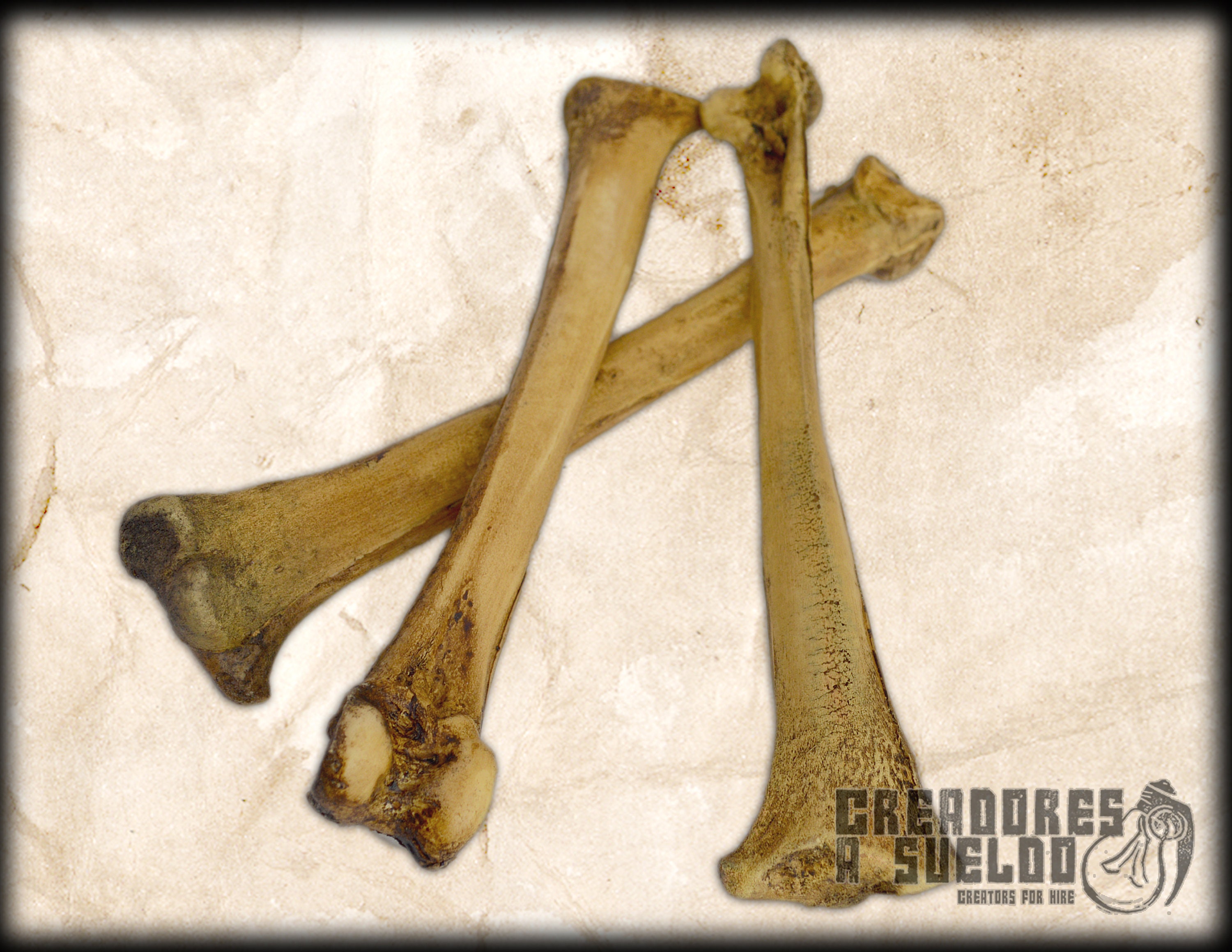 Soft Foam Bones bundle Avaliable Flexible Prop for Costuming | Etsy