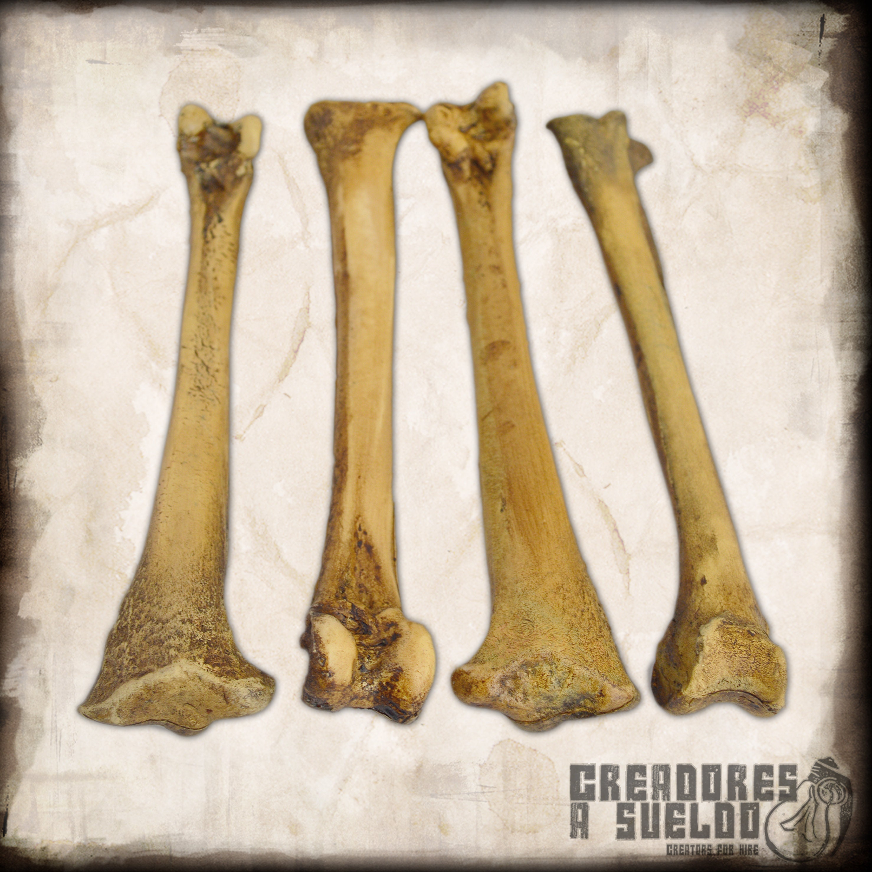 Soft Foam Bones (bundle Avaliable) Flexible Prop for Costuming Tribal ...