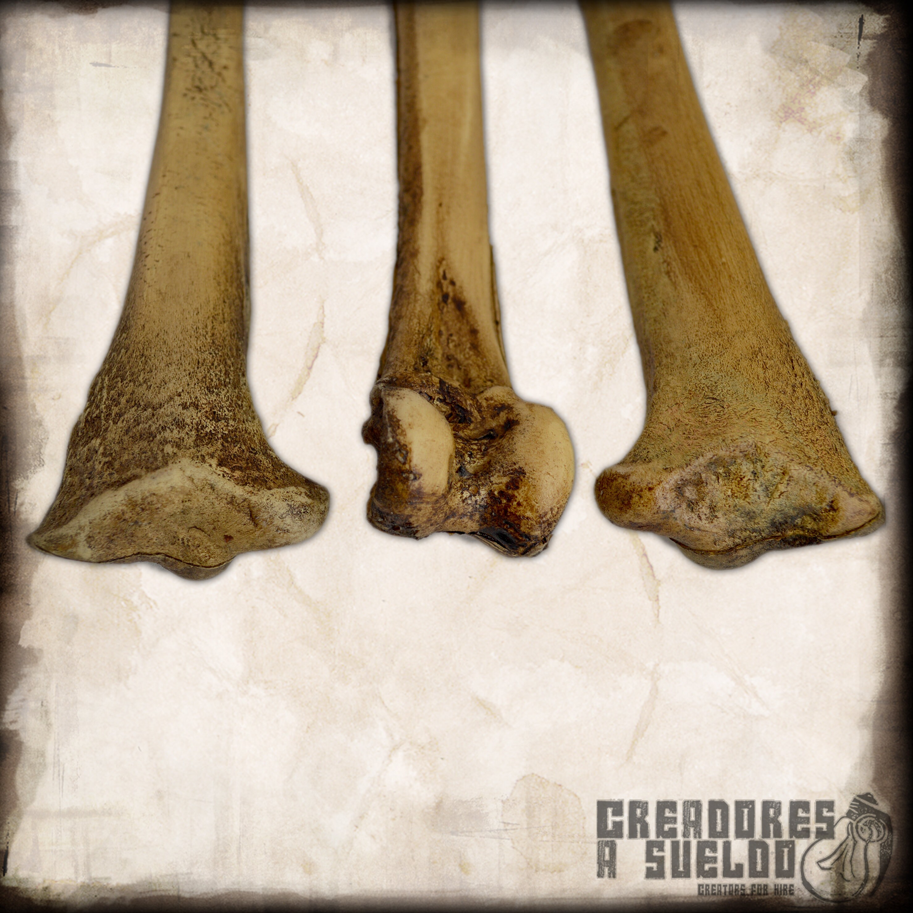 Soft Foam Bones (bundle Avaliable) Flexible Prop for Costuming Tribal ...