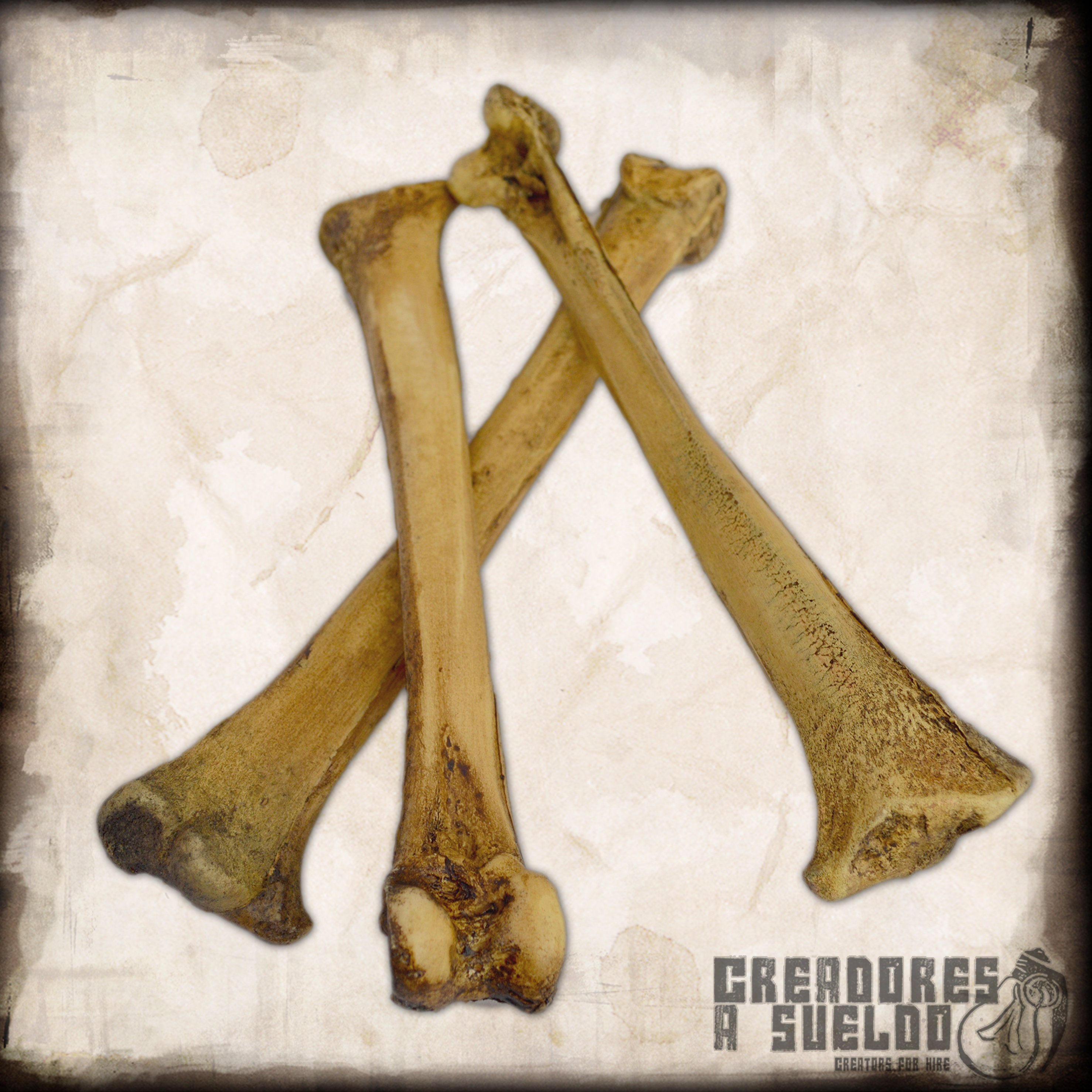 Soft Foam Bones (bundle Avaliable) Flexible Prop for Costuming Tribal ...