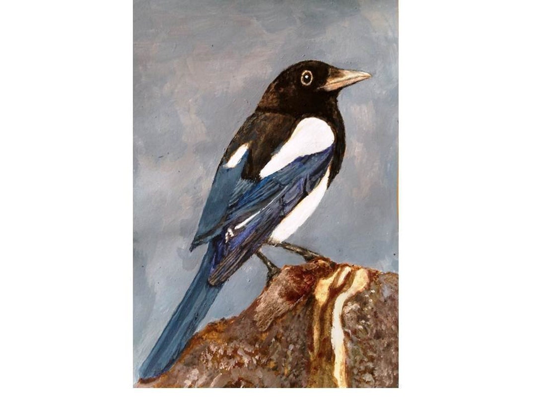 Blue Magpie Art Print A Magpie Print A Garden Bird Art Gift, an Irish ...