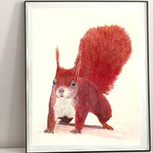 Squirrel Artwork. A Red Squirrel Poster. for Red Squirrel Decor ...