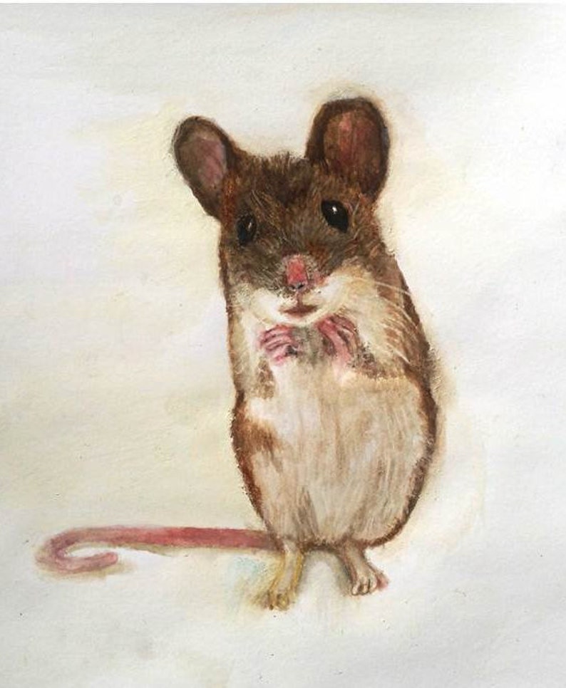 Little Mouse Artwork. Brown house mouse print. A field mouse | Etsy