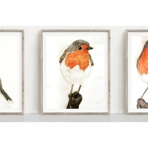 Robin Art A Red Breasted Robin Print. Originally a Bird Watercolor. A ...