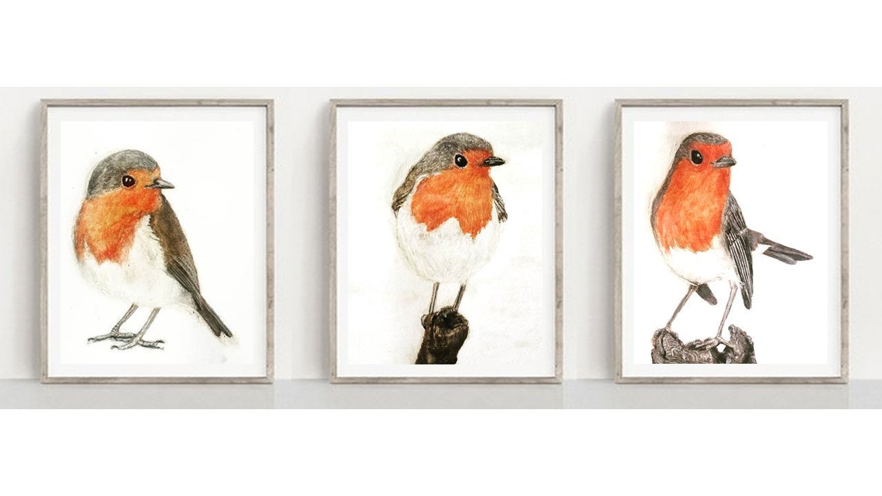 Robin Art A red breasted robin print. Originally a bird | Etsy
