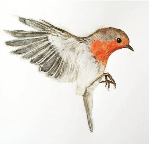 Robin Redbreast Sketch