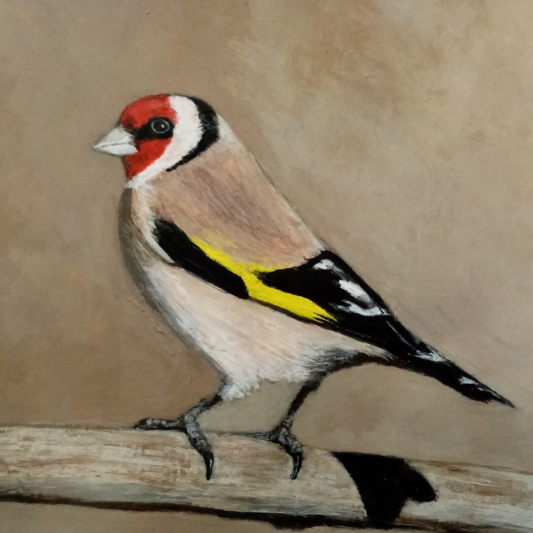 European Goldfinch A Red and Yellow Goldfinch Print, Medium Size Finch ...