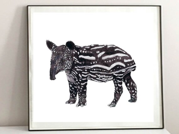 A Baby Tapir Art Print. A Malaysian Tapir Print. for Brown and | Etsy