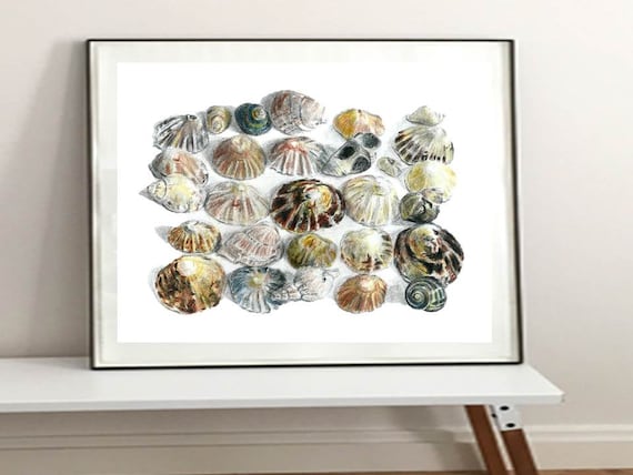 Sea Shells Nautical Wall Print Seashells Printof Shell | Etsy