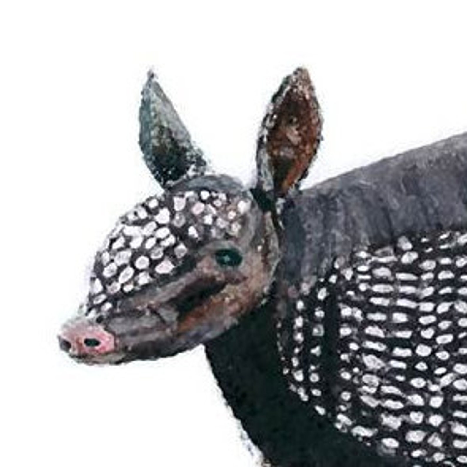 Armadillo Print Armadillo Art Print. Exotic Animal Artwork - Etsy