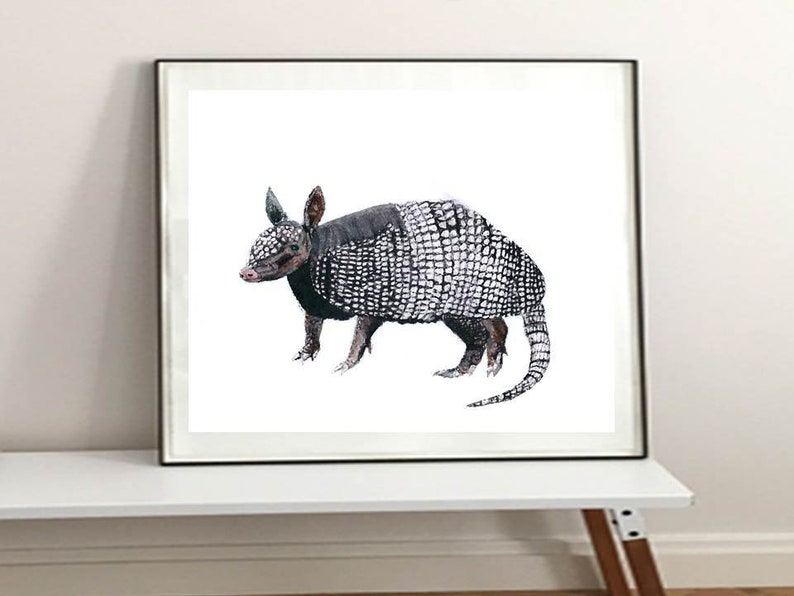 Armadillo Print Armadillo Art Print. Exotic Animal Artwork - Etsy