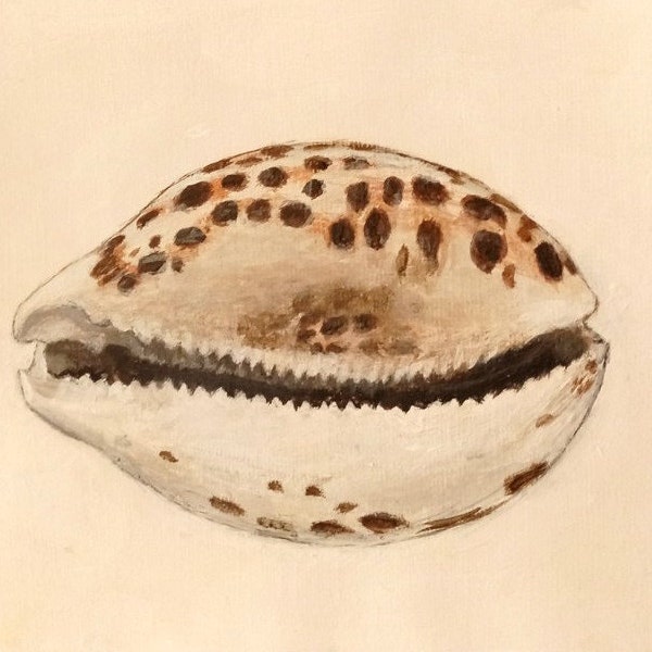 Seashell Painting - Etsy
