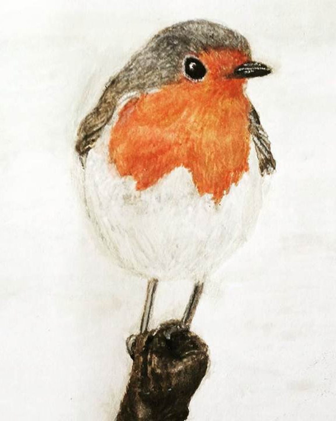 Baby Robin Art Print A Robin Red Breasted, A5 in Size Print, of a ...