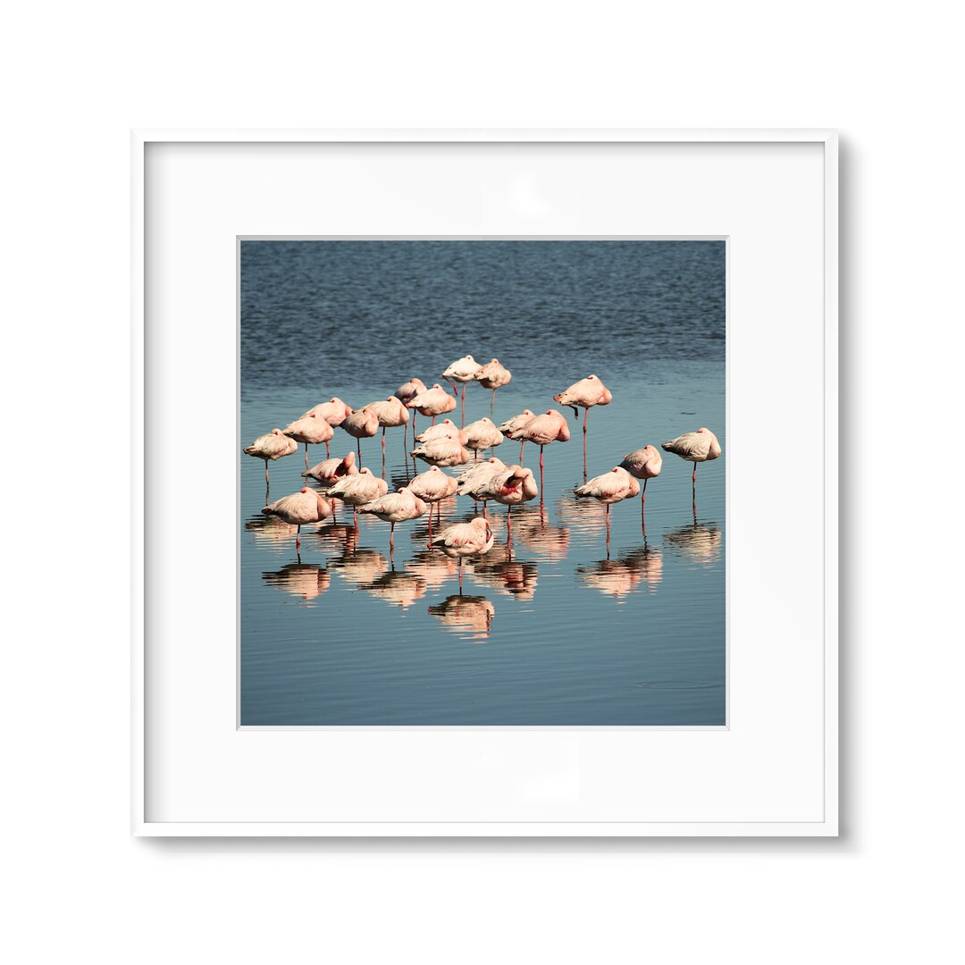 Flamingos Fine Art Photo Print, Maritime Picture for the Wall, Size 20 ...
