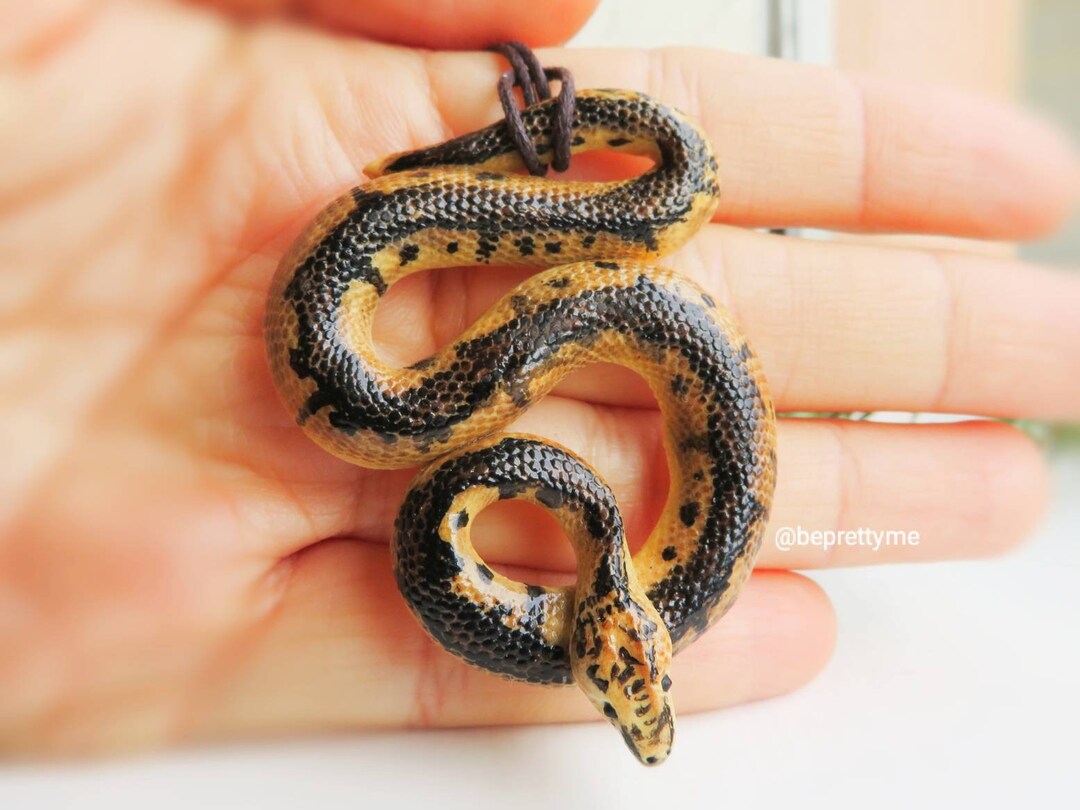 Clown Ball Python Pendant.polymer Clay. Perfect Gift for Snake Catchers ...