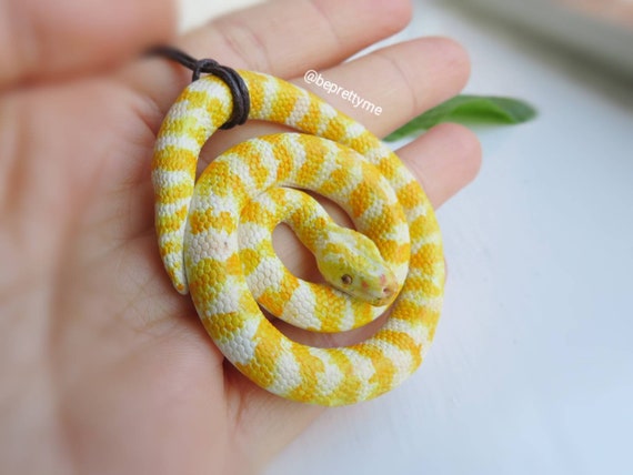 Baby Albino Python Snake