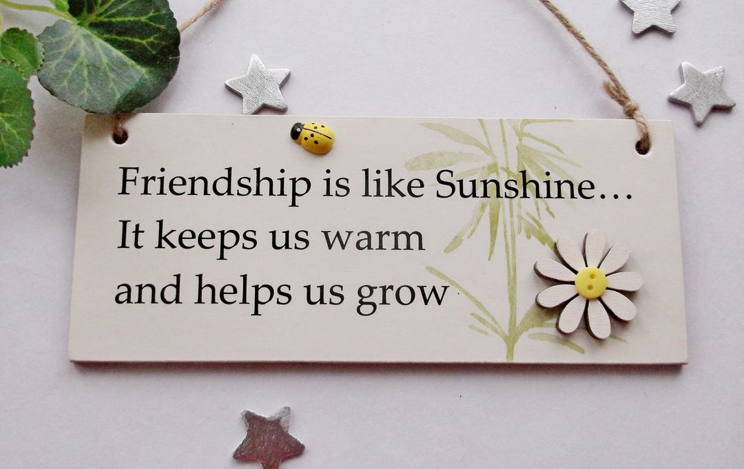 Friendship is Like Sunshine Wooden Gift Plaque - Etsy