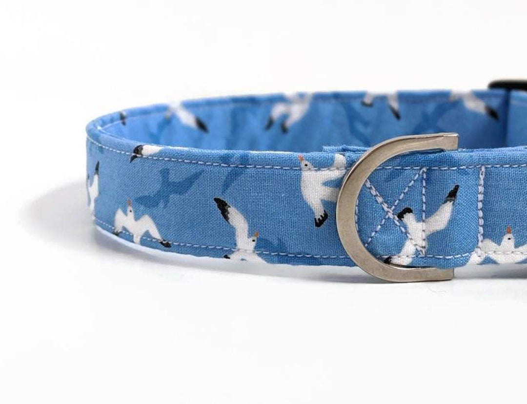 Seagull Dog Collar | Boy Dog Collar | Bird Dog Collar | Nature Dog ...