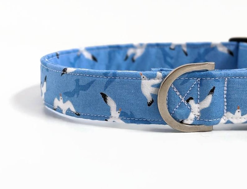 Seagull Dog Collar Boy Dog Collar Bird Dog Collar Nature - Etsy UK