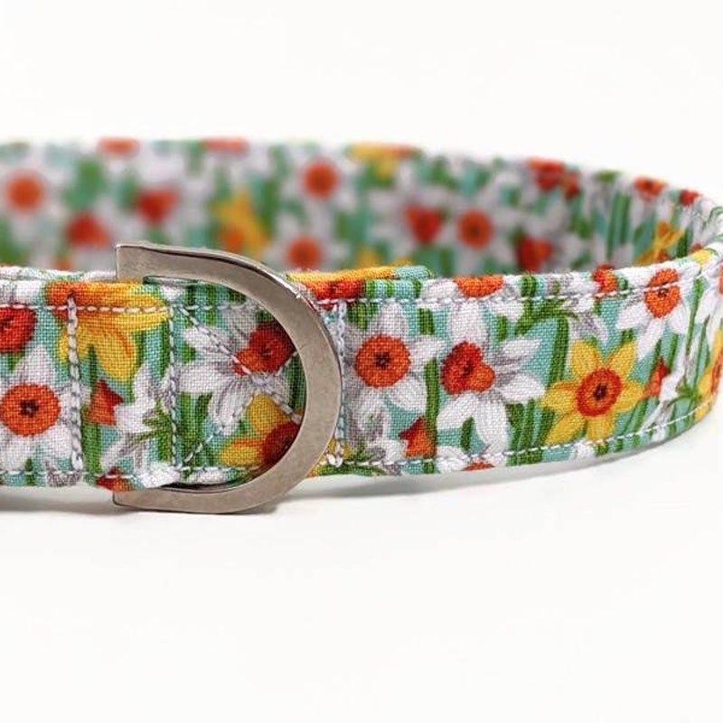 Spring Dog Collar - Etsy