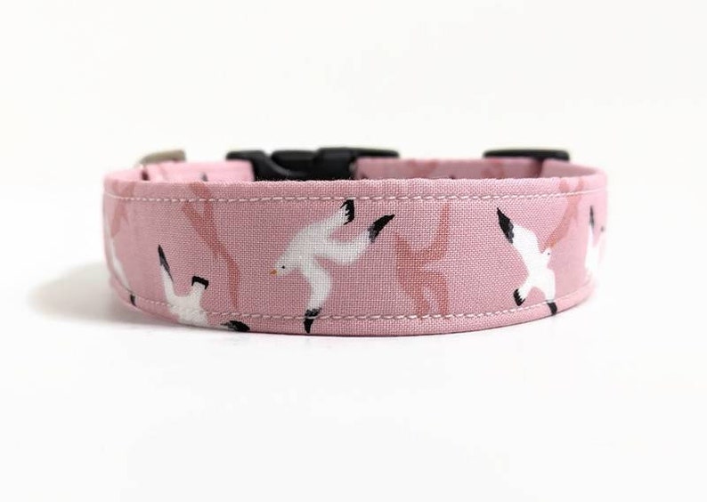 Seagull Dog Collar | Boy Dog Collar | Bird Dog Collar | Nature Dog ...