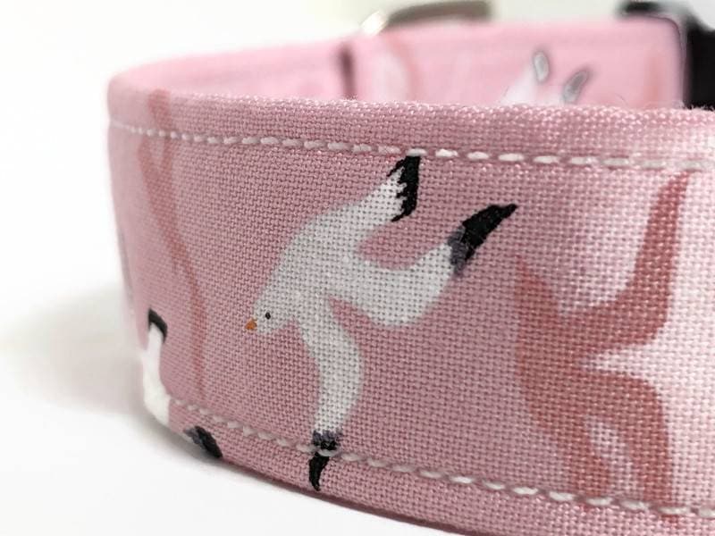 Seagull Dog Collar | Boy Dog Collar | Bird Dog Collar | Nature Dog ...
