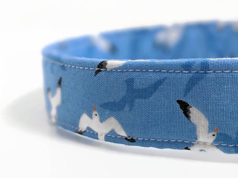Seagull Dog Collar | Boy Dog Collar | Bird Dog Collar | Nature Dog ...