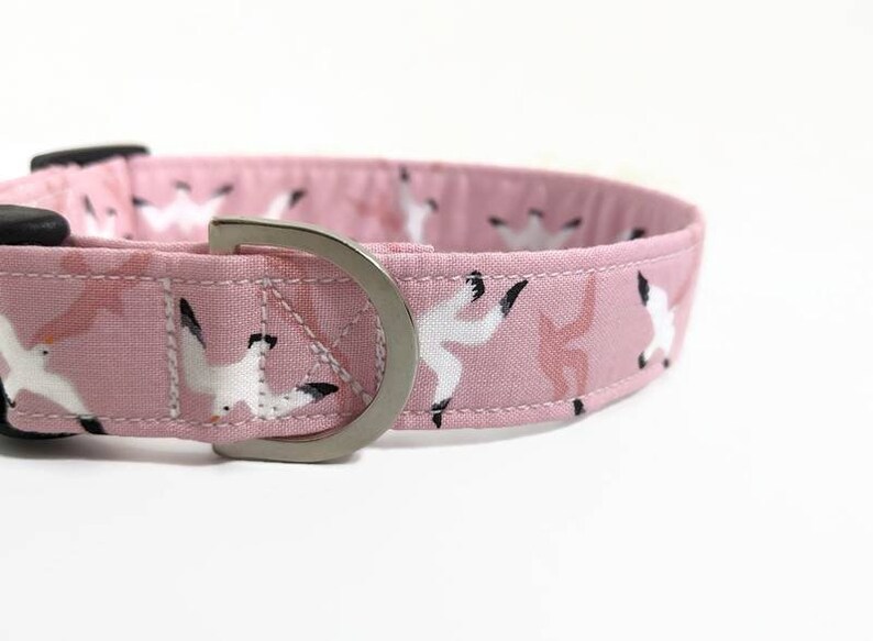 Seagull Dog Collar | Boy Dog Collar | Bird Dog Collar | Nature Dog ...