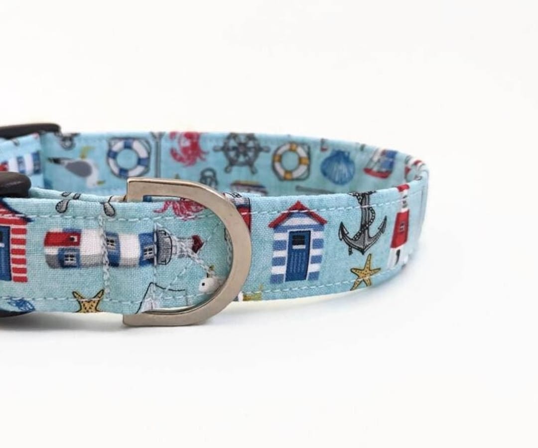At the Beach Dog Collar | Cute Dog Collar | Boy Dog Collar | Ocean Dog ...