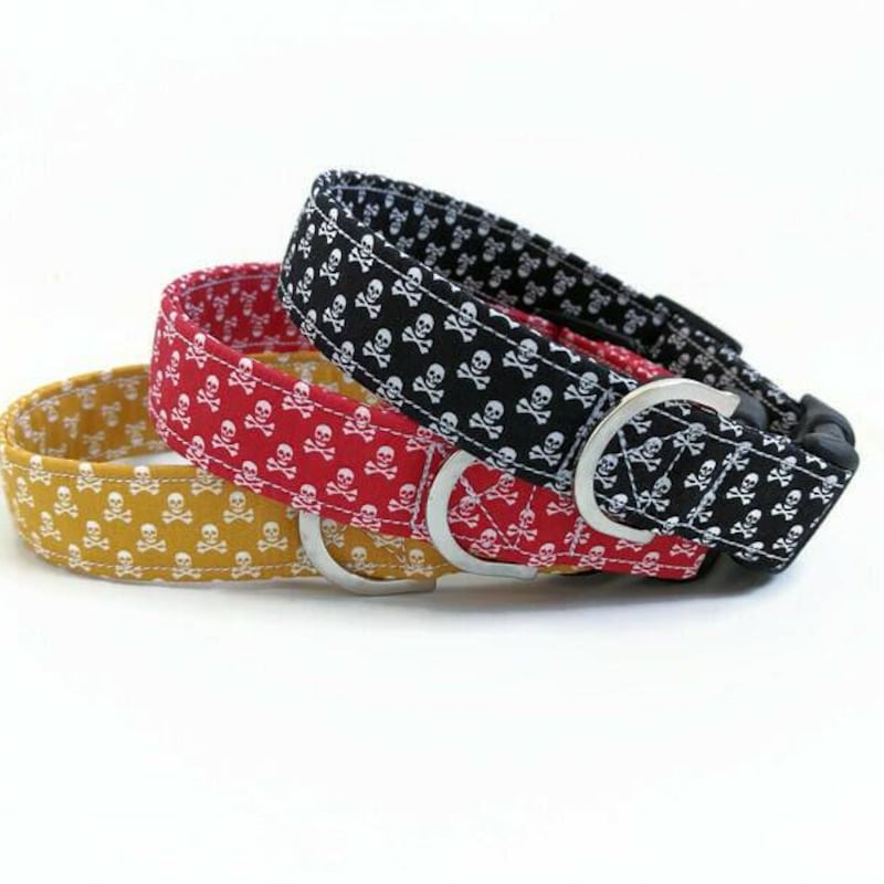 Skull Dog Collar - Etsy