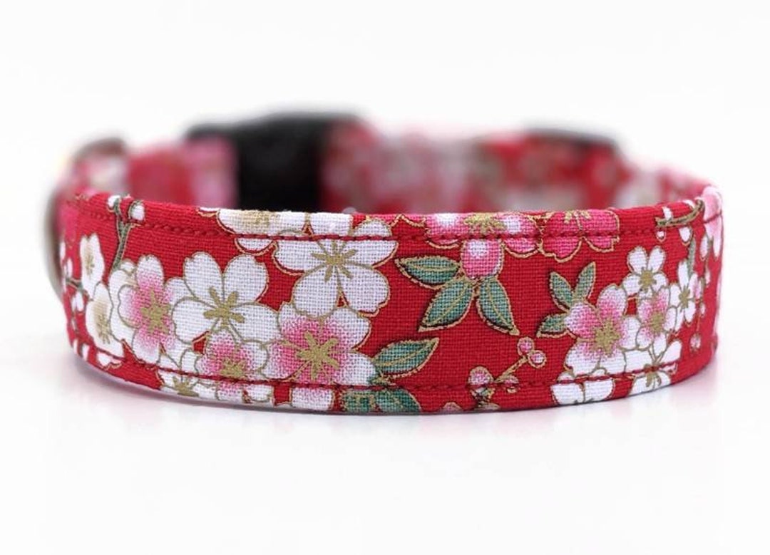 Japanese Blossom Dog Collar, New Dog Gift, Floral Dog Collar, Cherry ...
