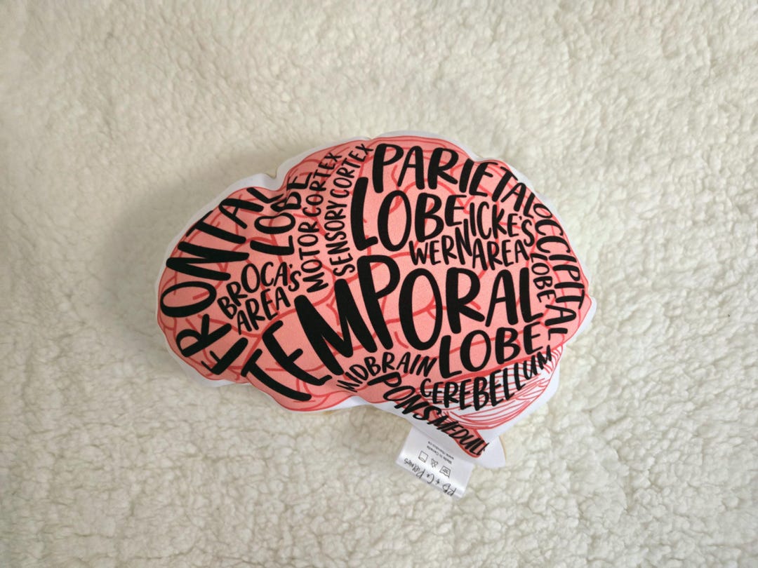 Brain Shaped Pillow, Brain Gift, Mental Health Tool, Science Tool ...