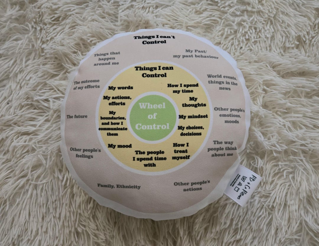 Circle of Control Pillow, Control Wheel, Therapist Gift, Counselling ...