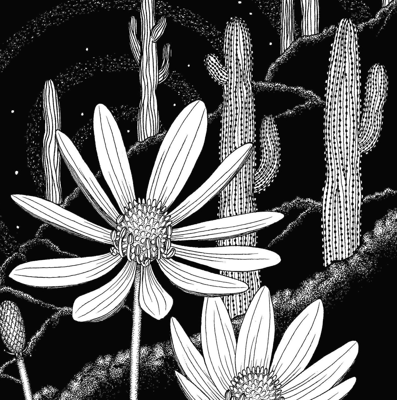 Illusion of Disconnect - 11 X 14 - Art Print - Flower - Saguaro - Art ...