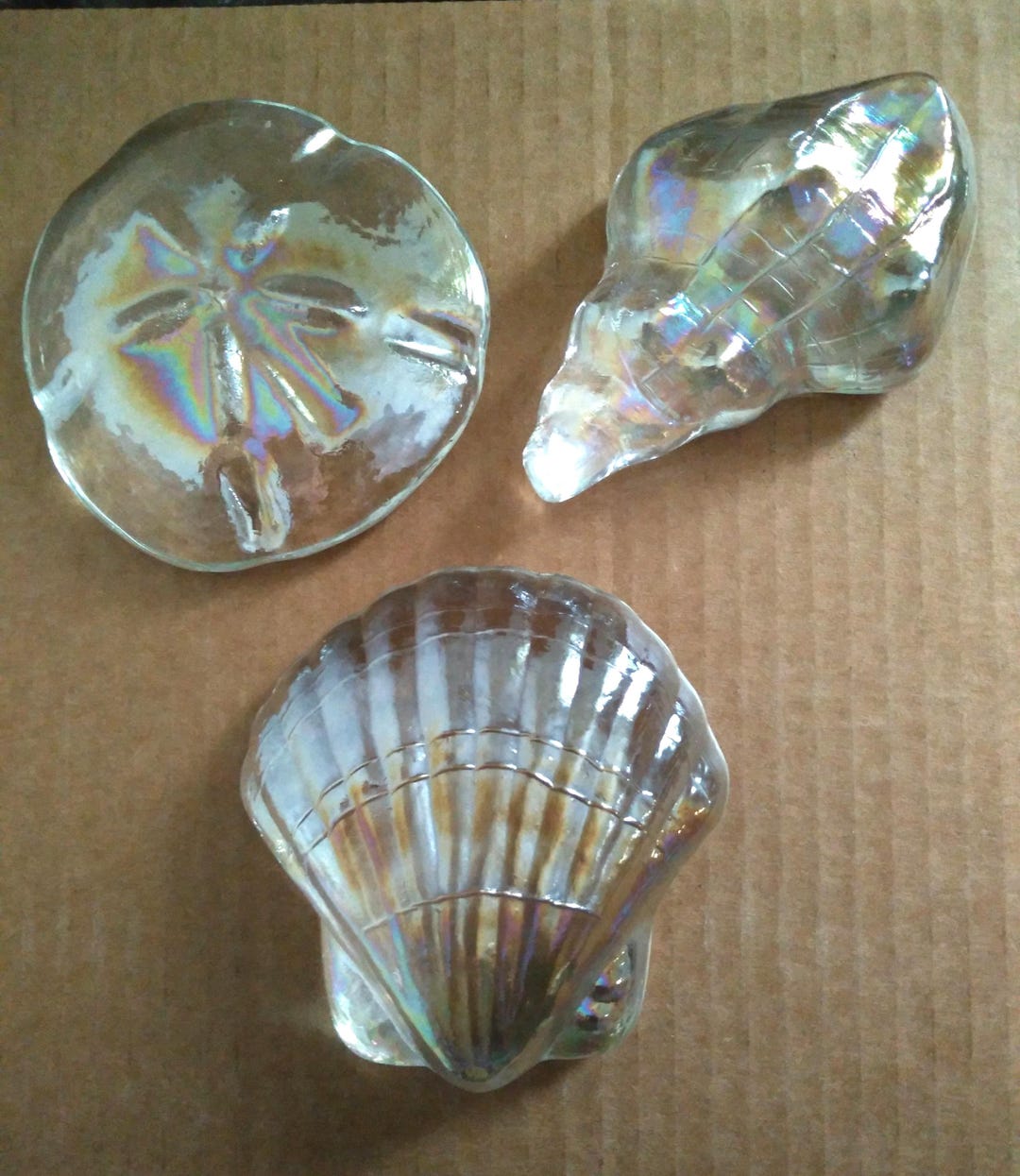 3 Glass Shell Paperweights - Etsy