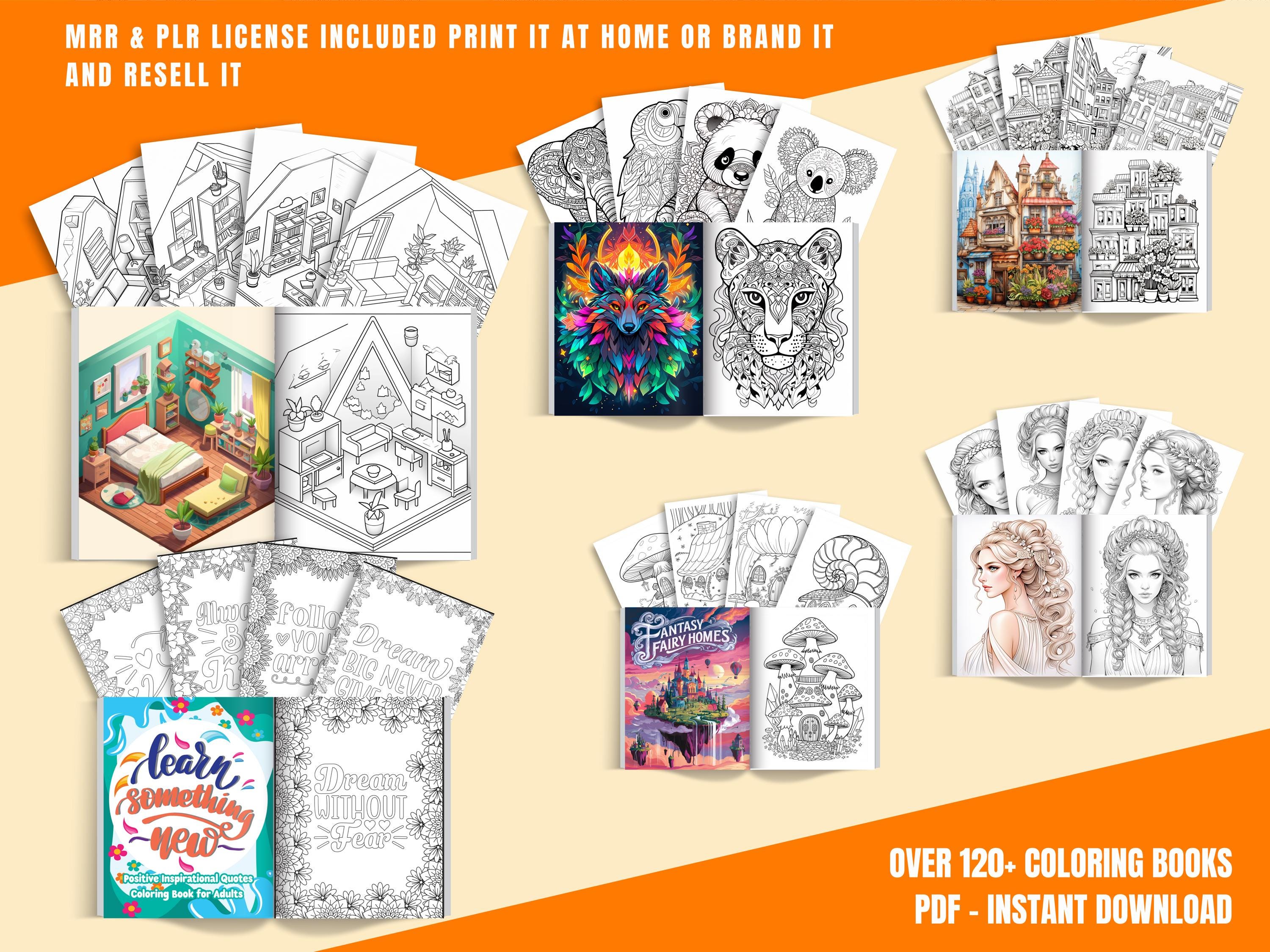 Adult Coloring Book PLR Bundle, 30,000 Pages, KDP, MRR Digital Product ...