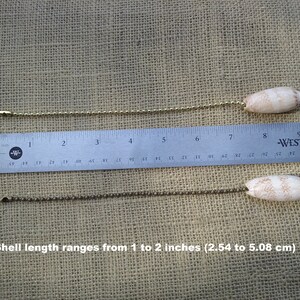Seashell Ceiling Fan Pull Light Chain Pull Lettered Olive - Etsy