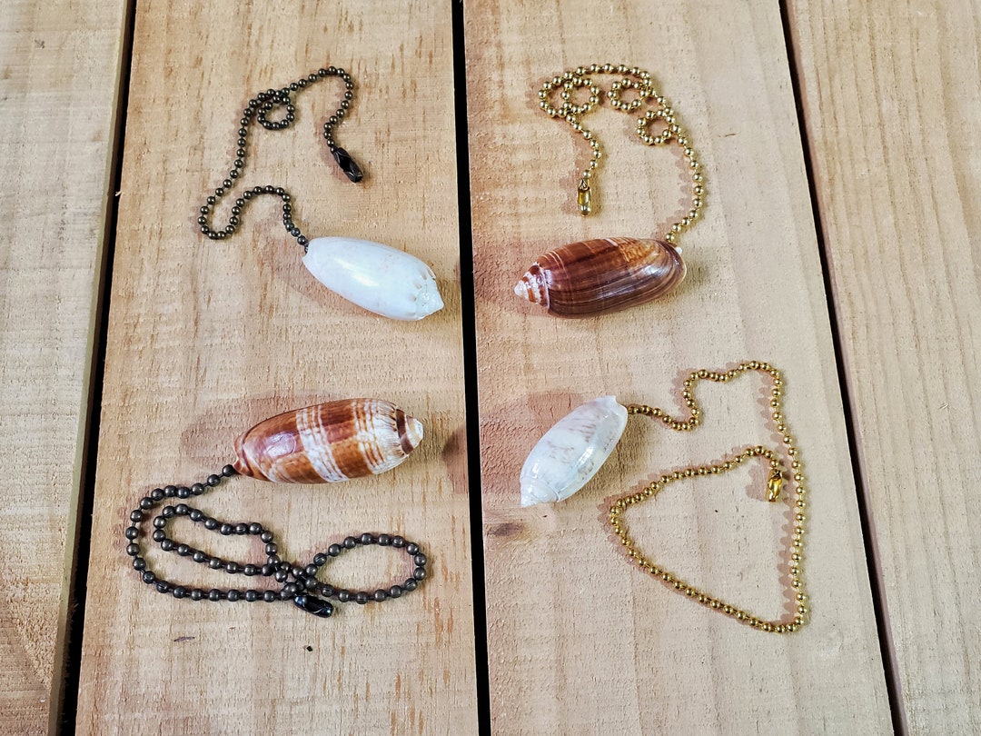 Seashell Ceiling Fan Pull, Light Chain Pull, Olive Shell, Beach Décor ...