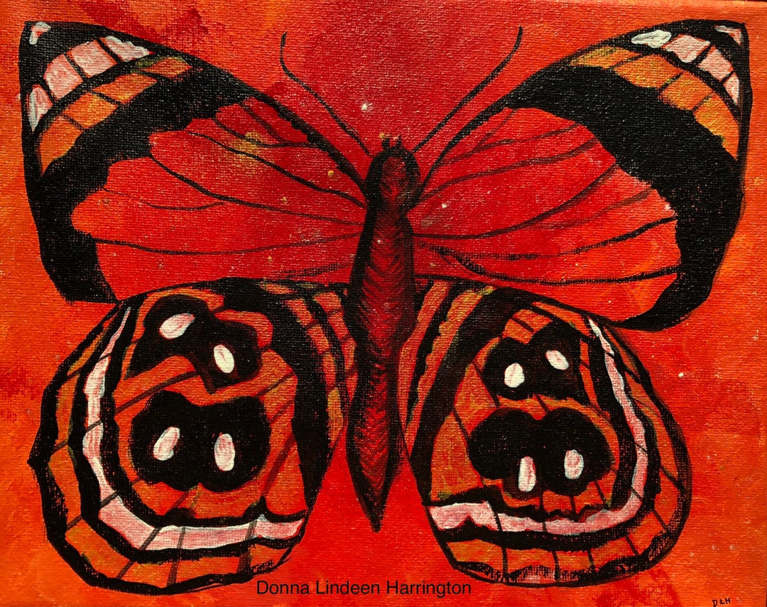 Red and Orange Butterfly, Callicore Maimuna Butterfly, Original Artwork ...