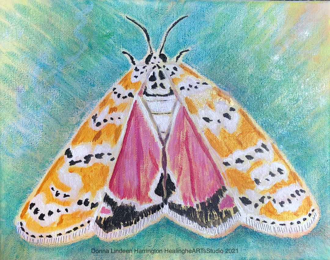 Ornate Bella Moth, Original Acrylic Painting, Moth Artwork, 8x10 ...